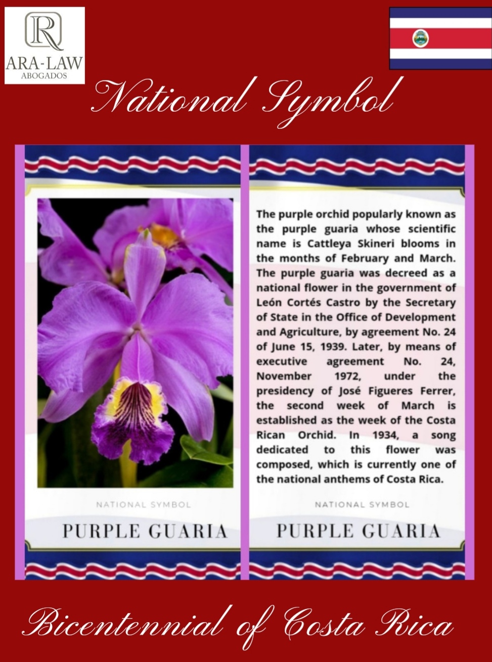 What Is The National Flower Of Costa Rica | Best Flower Site