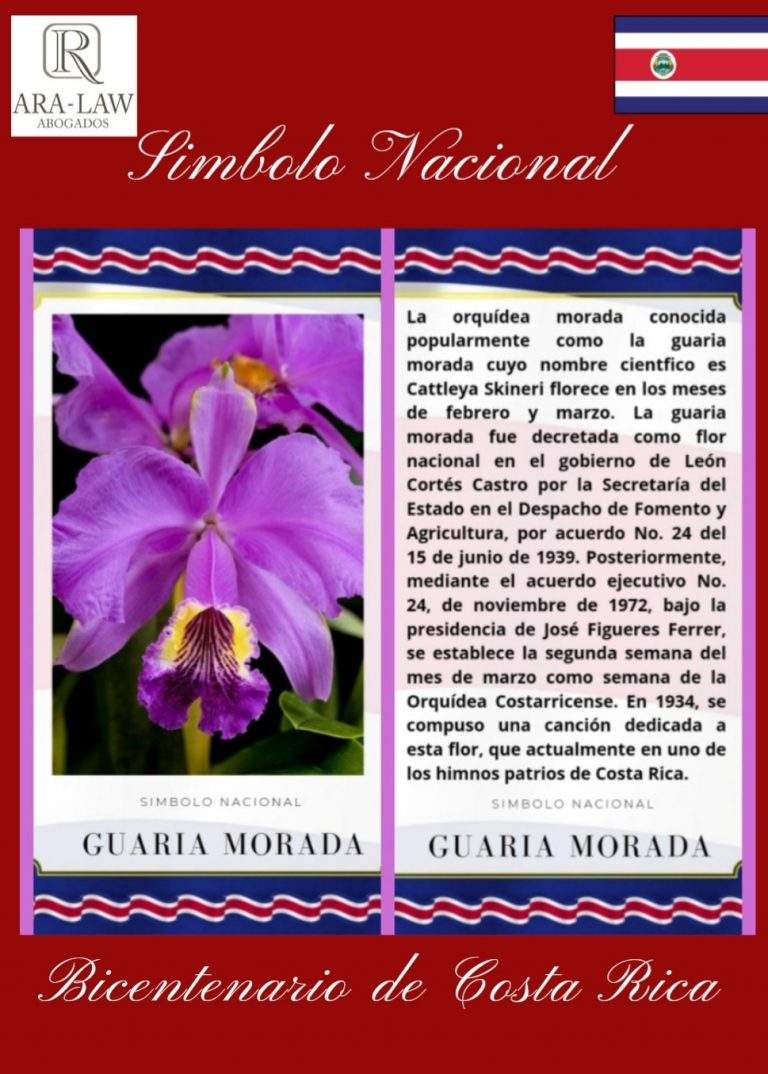 Bicentenario Costa Rica 1821-2021- Símbolo Nacional Guaria Morada - Ara Law